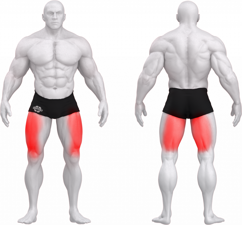 DF300 Beinstrecker / Beinbeuger - NEO-Fitness